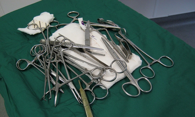 Small Animal Medicine & Surgery – Welcome to Pembroke Animal Hospital